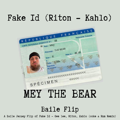 Stream Fake ID ( Gee Lee ) Riton, Kahlo (coke & Rum Remix) - Baile Funk ...