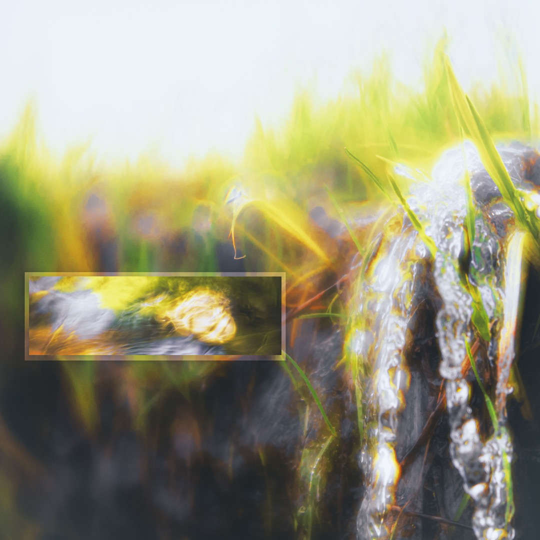 Stream MORAL FIBER ♨ | Listen to Wellness Fest Setlist playlist online ...