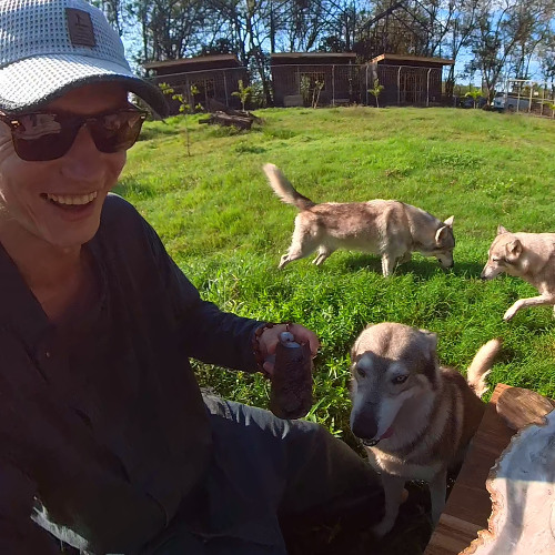 Stream Wolfpack by DJ cOmmUnity | Listen online for free on SoundCloud