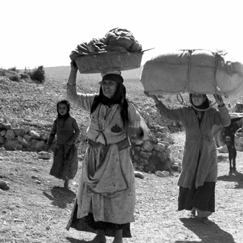 Stream The Nakba: 75 Years On by Making Contact | Listen online for ... Stream The Nakba: 75 Years On by Making Contact | Listen online for ...