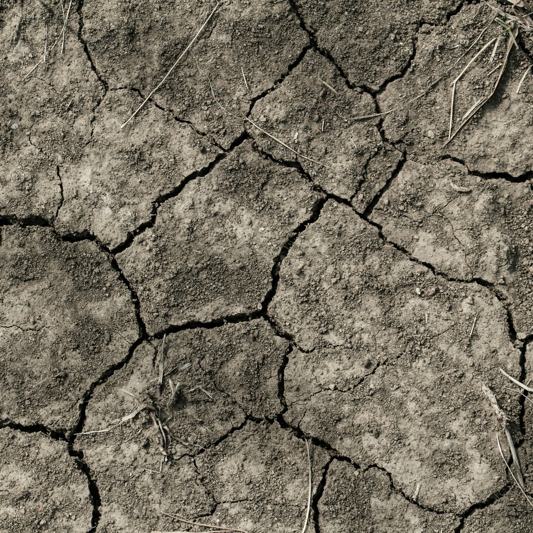 Stream The case for climate litigation in India - Bindu Gopal Rao by ...