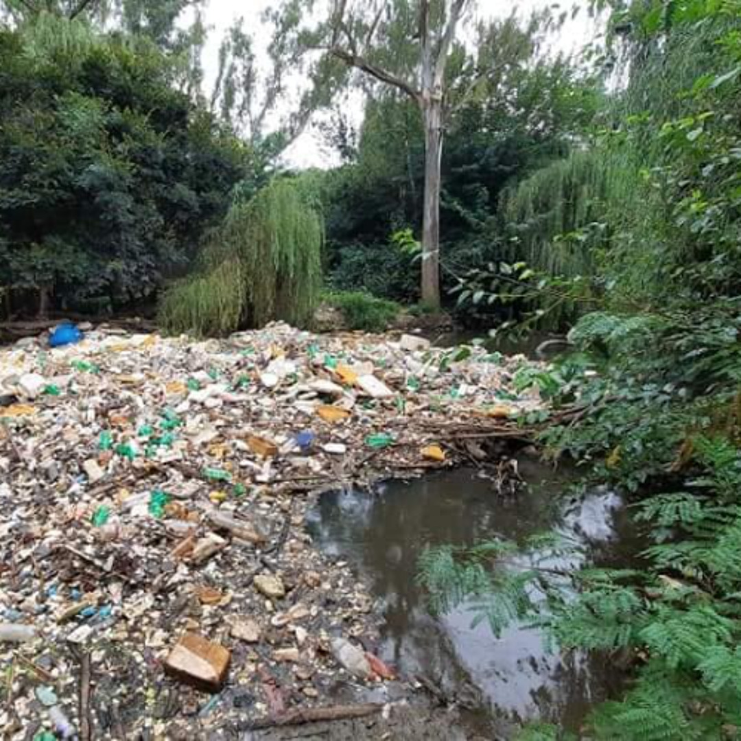 Stream Alarming Pollution Levels in SA’s Rivers and Dams Spark Concern ...