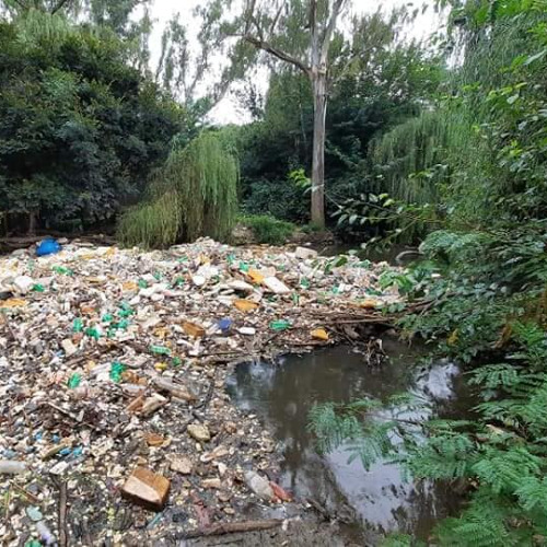 Stream Alarming Pollution Levels in SA’s Rivers and Dams Spark Concern ...