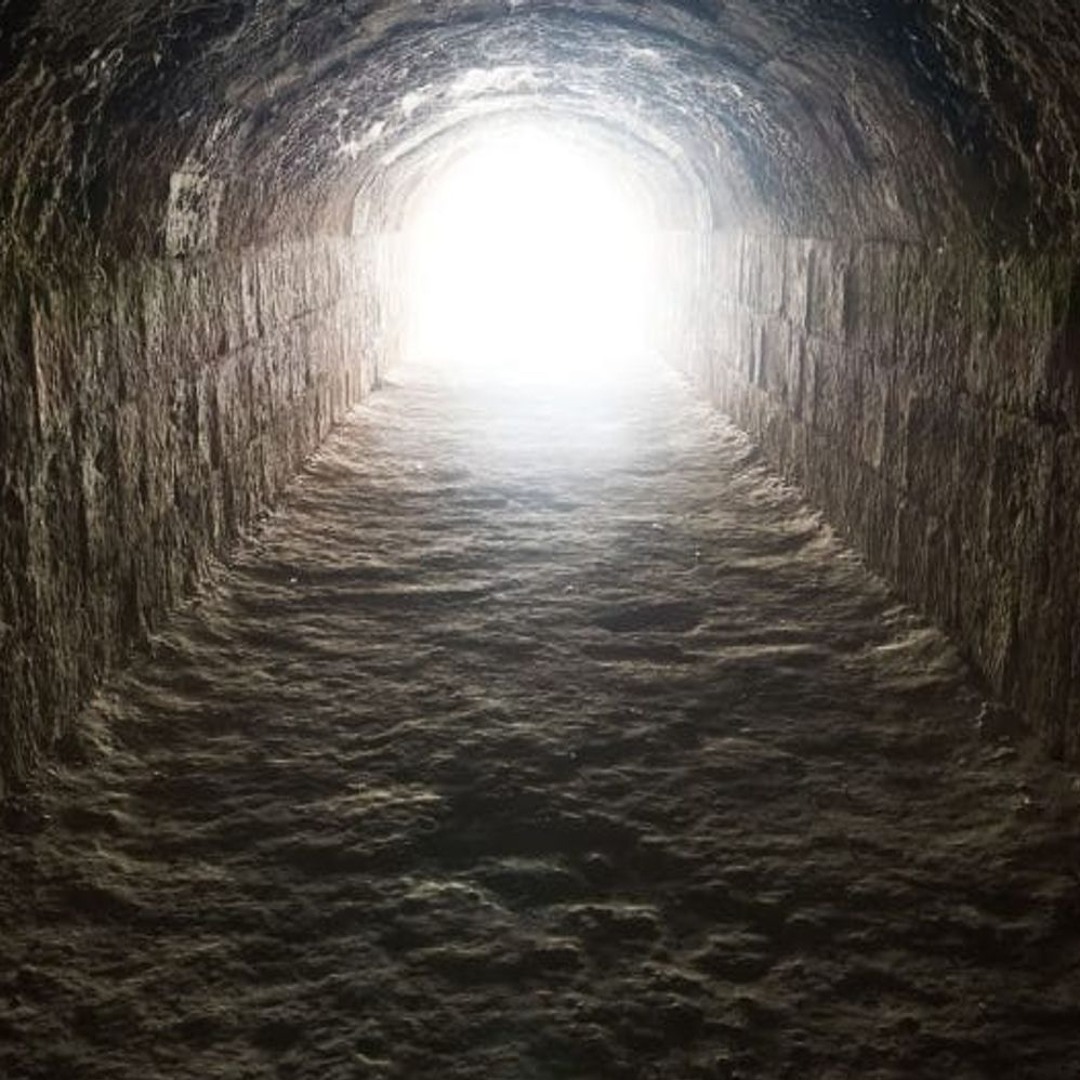 Stream Se Cada Dia Cai De Pablo Neruda Com Angela Philippini Narrando ...