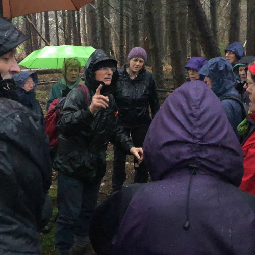 Stream We wish you a Merry Christmas - Bass harmony by David Burbidge ...