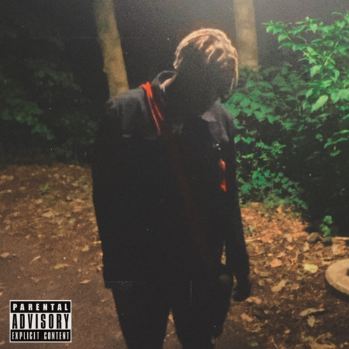 Stream Caroline by TayTheDxn (@lxrdkavi) | Listen online for free on ...