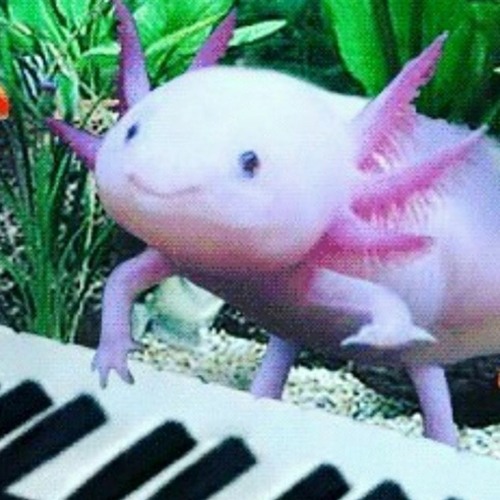 Stream cover me in sunshine remix by rodan | Listen online for free on ...