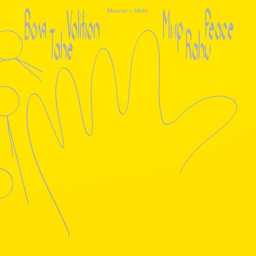 Stream B3. Flamingo Pop [from Muscut x Mida: Volia x Rahu compilation ...