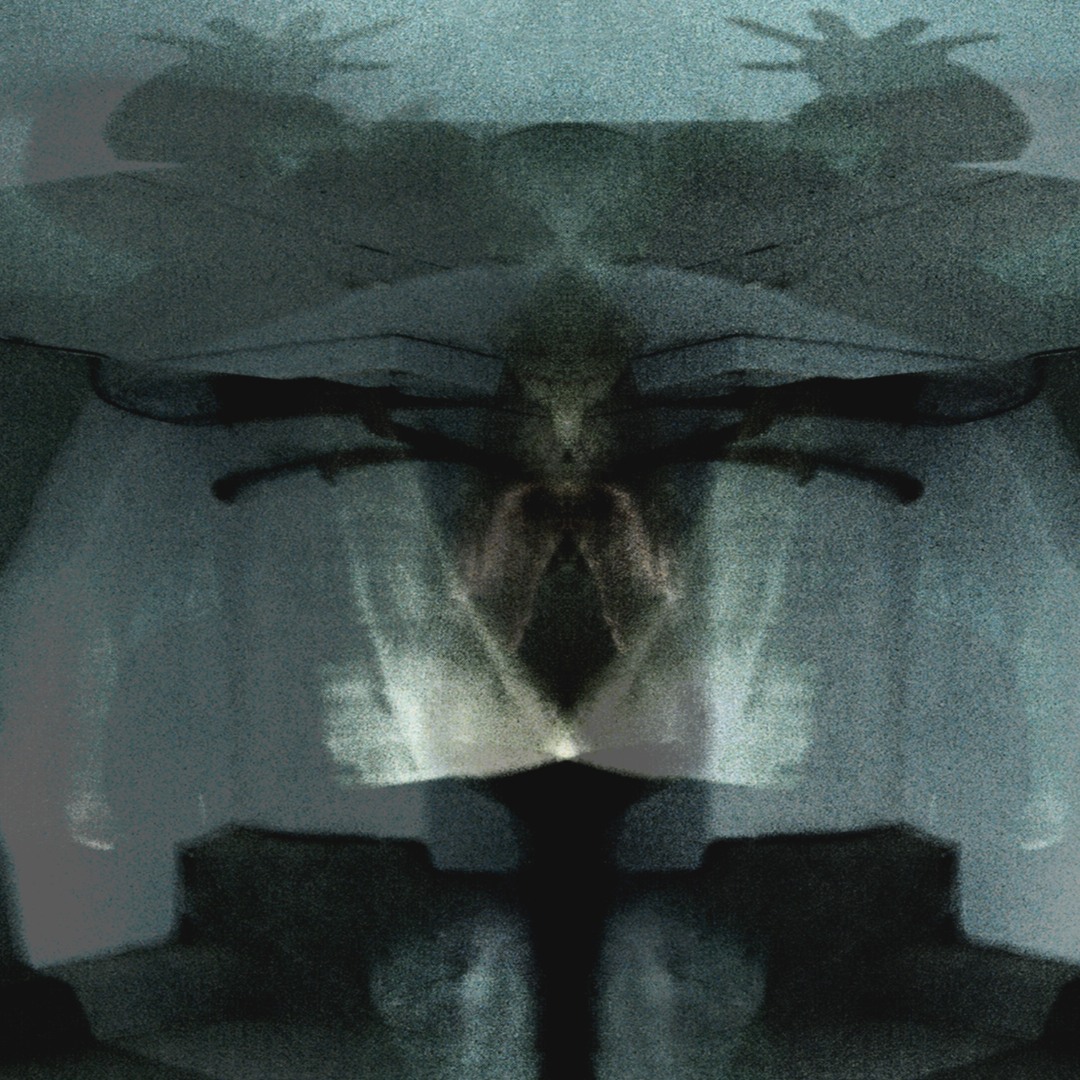 Stream Lee Scott - Starfish [Kunas Bootleg] (Free Download) by Kunas ...