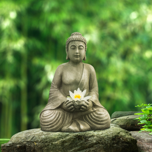 Stream Vibrar En La Frecuencia Del Amor By Musicoterapiateam Listen