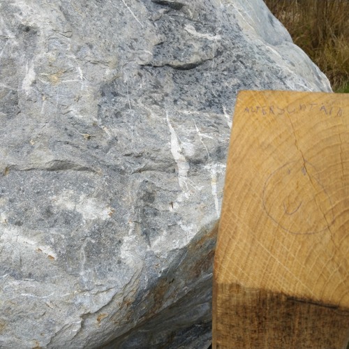 Stream Sanierungsprojekt der Schiessplätze Allmend Luzern by David ...