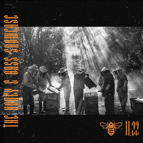 Stream The Honey & Bass Showcase - November 2022 by Honey & Bass ...