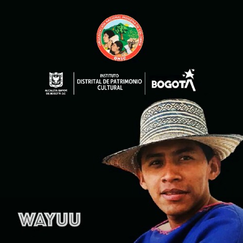Stream WAYUU by Instituto Distrital de Patrimonio Cultural | Listen ...