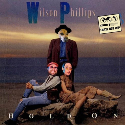 Stream WILSON PHILLIPS - HOLD ON (THATZ HOT FLIP) by THATZ HOT | Listen ...