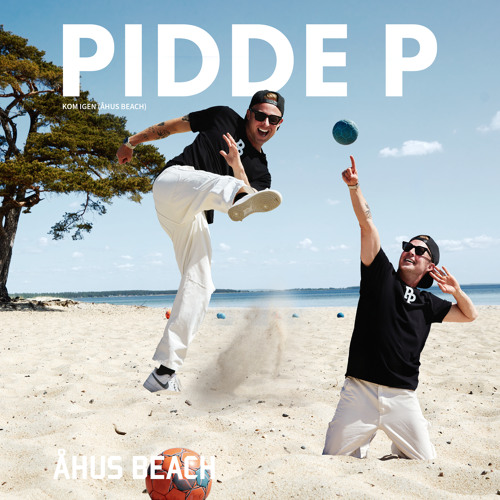 Stream Kom igen (Åhus Beach) by Pidde P | Listen online for free on ...