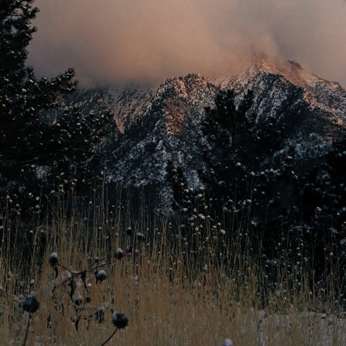 Stream medasin - microdose vol.3 by eeceen | Listen online for free on ...