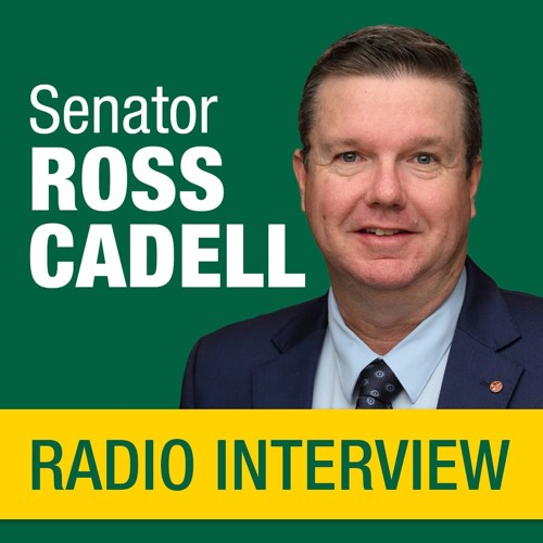 Stream ABC Riverina - HIGH-VOLTAGE LINES “OVERPOWERING” COMMUNITIES by ...