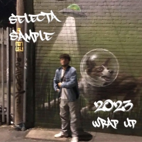 Stream 2023 DNB WRAP UP by SELECTA SAMPLE | Listen online for free on ...