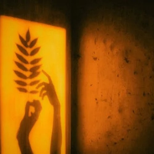 Stream Sanador by Myles Hunt | Listen online for free on SoundCloud