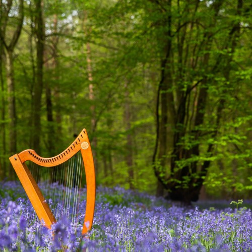 Stream Bluebell Woods by peaceful strings | Listen online for free on ...