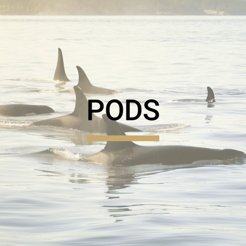 Stream 5 Pod Work: Examples of Pods by Mers (they/them) | Listen online ...