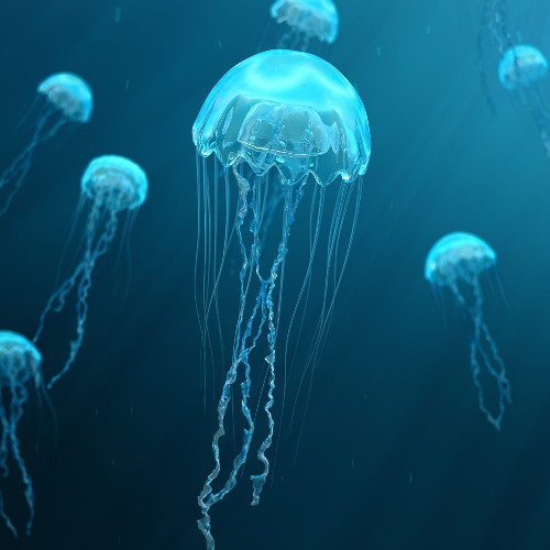 Stream In Depth (ET DEEP OCEANS vol2) by Jonathan Zuniga | Listen online for free on SoundCloud