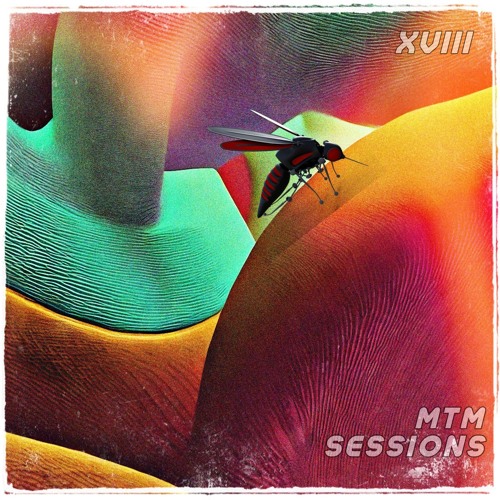 Stream MTM House SESSIONS by MTM (AR) | Listen online for free on ...