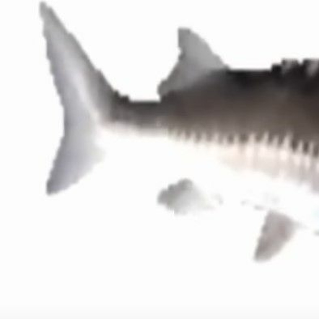 Stream Funky Town low quality spinning fish but instrumental by Kobie ...