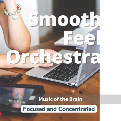 Stream The New Sound of the Future by Smooth Feel Orchestra | Listen ...