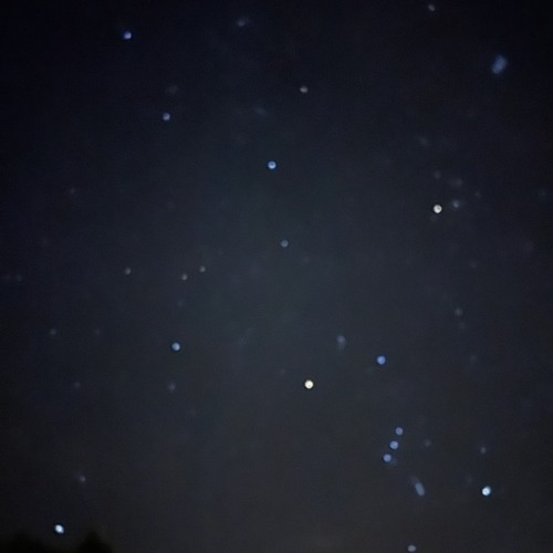 Stream nico murphy | Listen to freshwater grass trees (demos) playlist ...