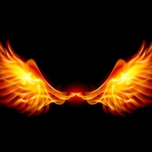 Stream The Rise of the Phoenix by Mr Kriz | Listen online for free on ...