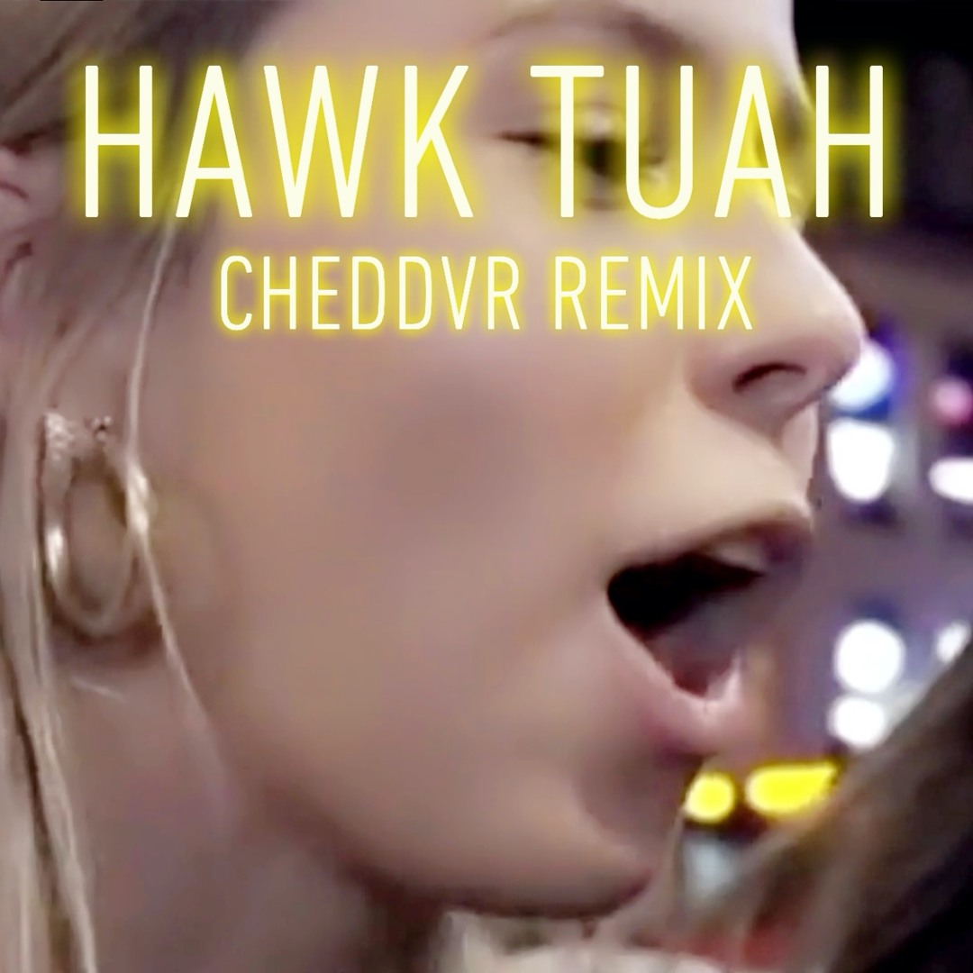 Stream Hawk Tuah ( CHEDDVR REMIX) by CHEDDVR | Listen online for free ...