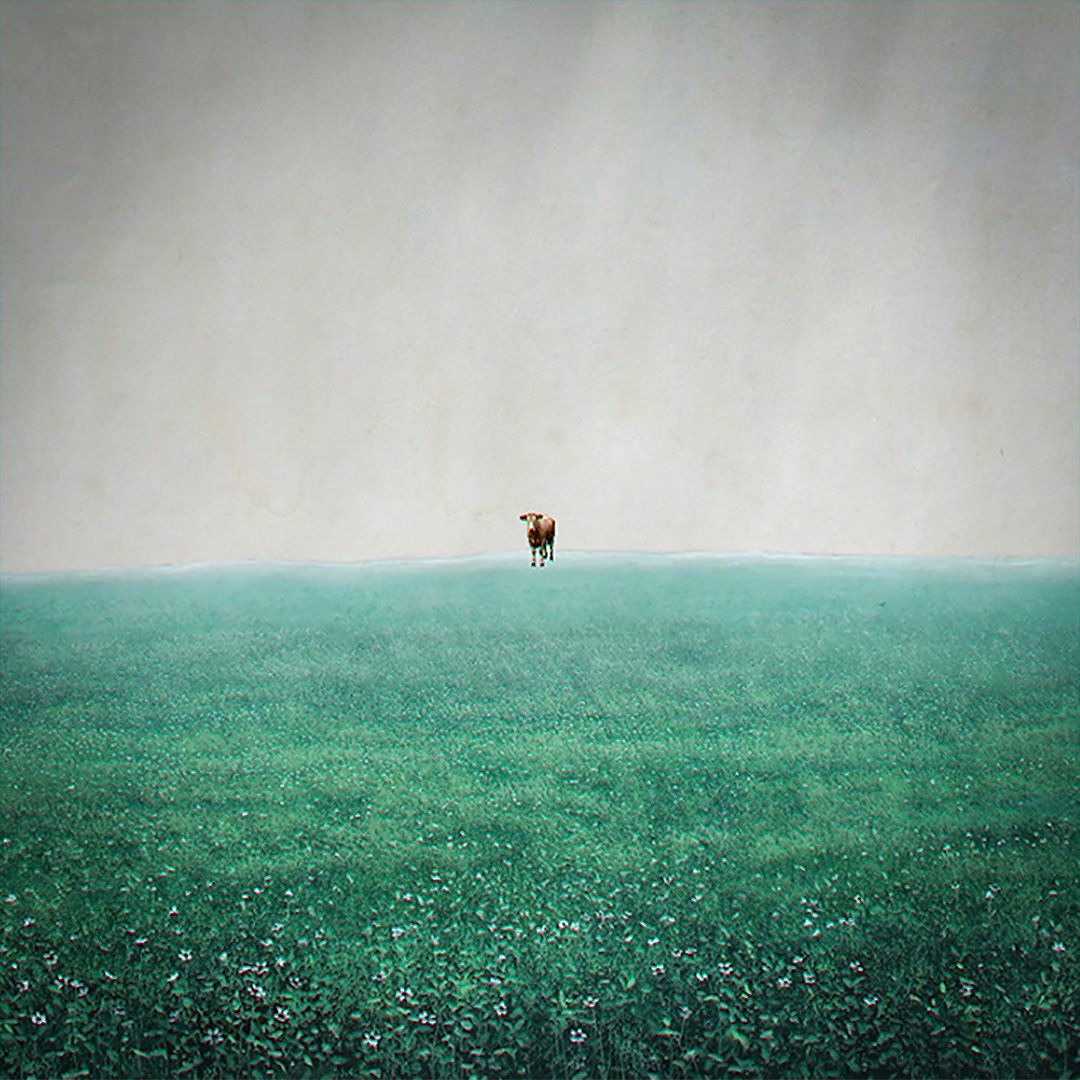 Stream The Backrooms Level 756 - "On big island lives only one cow." by ...