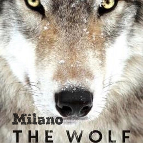 Stream the wolf by Dj Milano | Listen online for free on SoundCloud