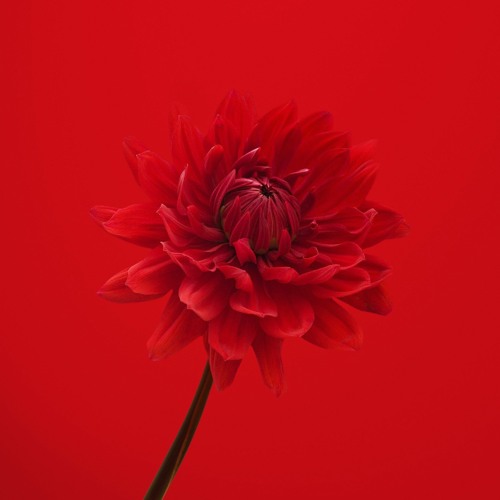 Stream Bring Me The Horizon - sTraNgeRs (Ember & Dust Remix) by ...