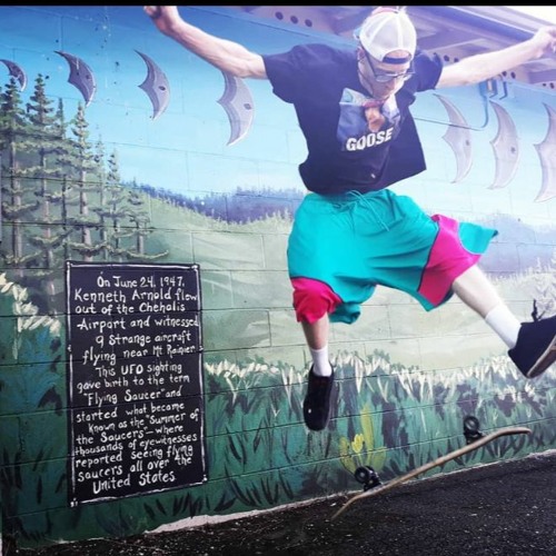 Stream Steel Toe Kick Flip - Laces out, Dan! by The Grateful Ned ...