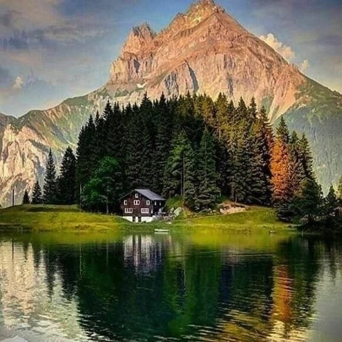 Stream Live Obliviously by Bill Bero | Listen online for free on SoundCloud