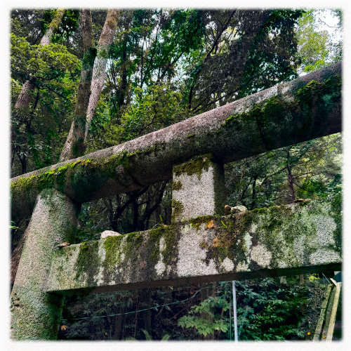 Stream [disquiet0675] reversal by Fake Genius | Listen online for free ...