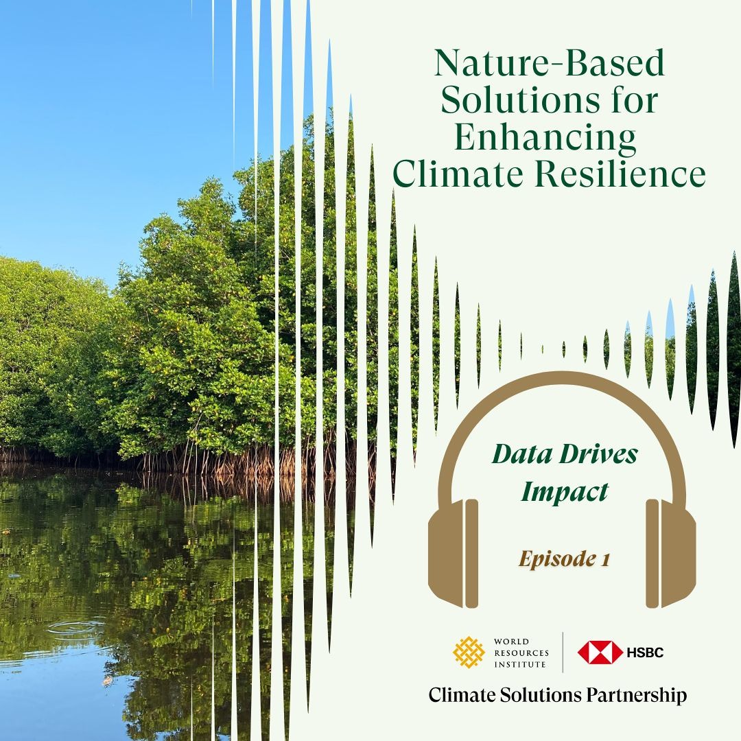 Stream Nature-Based Solutions for Enhancing Climate Resilience: Data Drives Impact by WRI's Big ...