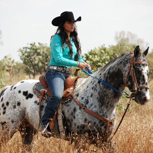 Stream Da Uma Cavalgada Vs É So Uma Botada Dj Markin Dcaxias Beat 4967