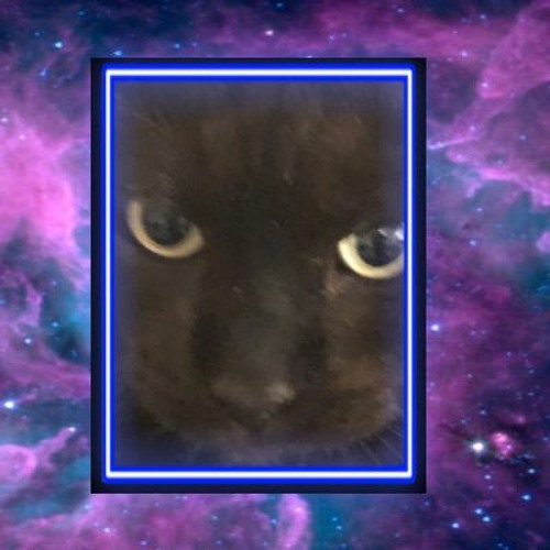 Stream Pregnant Cat 2 Uncensored By Kugou Listen Online For Free On Soundcloud