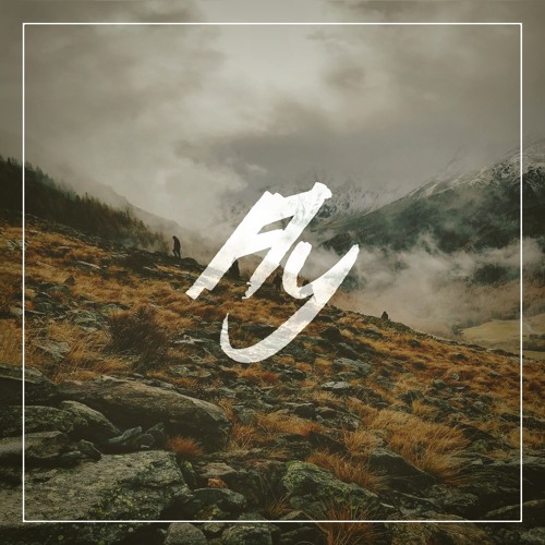 Stream Fly by Dennis Gleiss | Listen online for free on SoundCloud