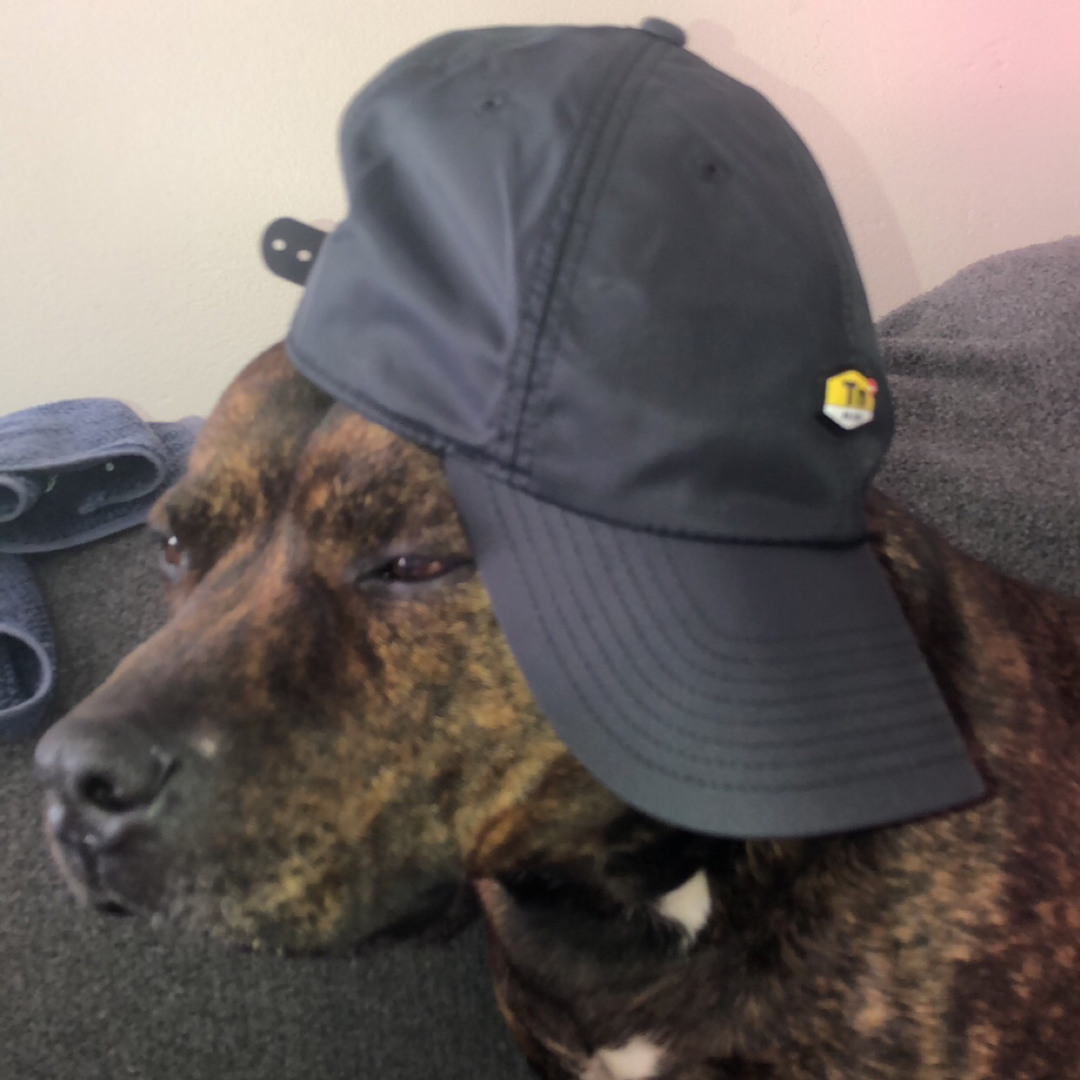 Stream Kerser x Rops1~Death Trap by Rèāgàṉkèṉŋÿ | Listen online for ...