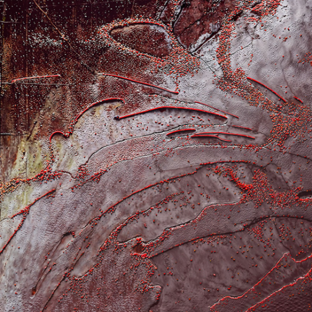 Stream Chris Lake, Skrillex & Anita B Queen - La Noche (Solomon France ...