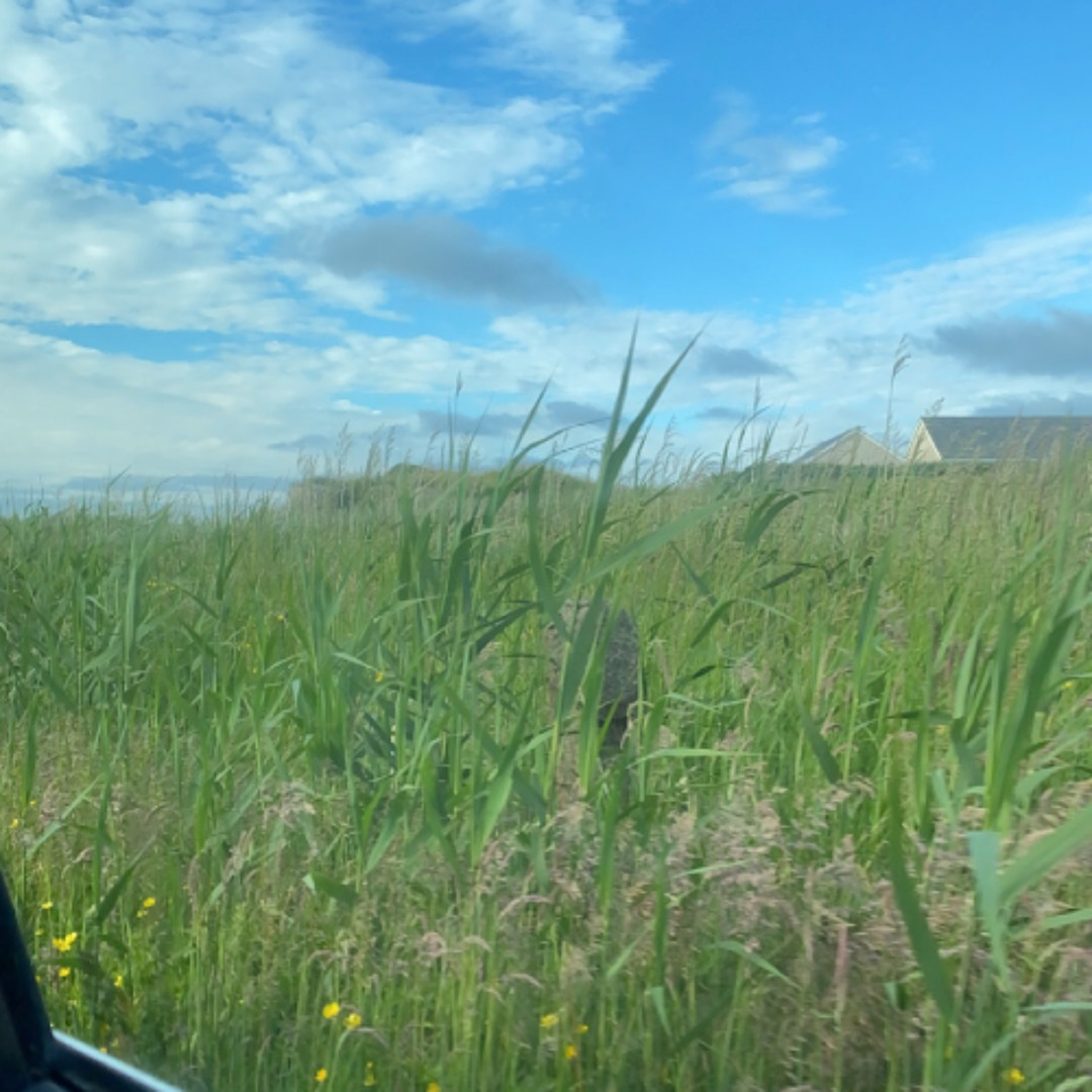 Stream Nana (Spedup) by Marc Cunningham | Listen online for free on ...