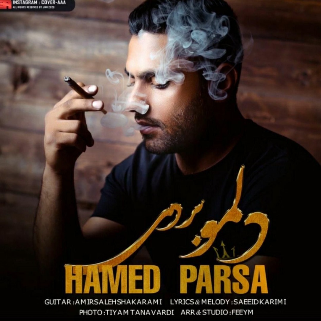 Stream Delamo Bordi by Hamed Parsa | Listen online for free on SoundCloud