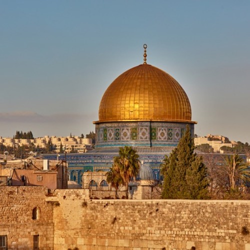 Stream Palestine Check A Conversation With Marwa Fatafta by bintabooy ...