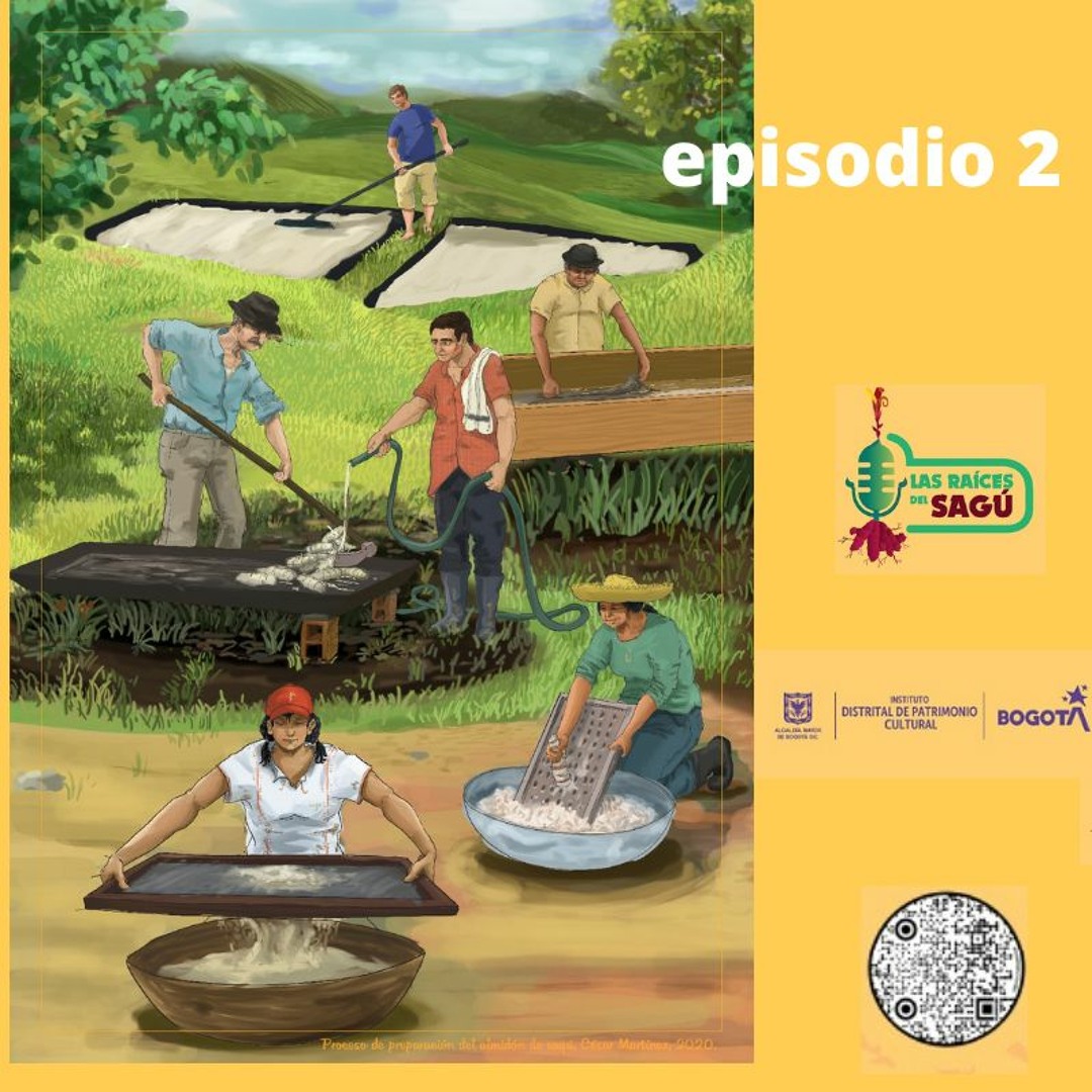 Stream episode Sagú Ep2 La Preparacion Del Almidon De Sagu by ...