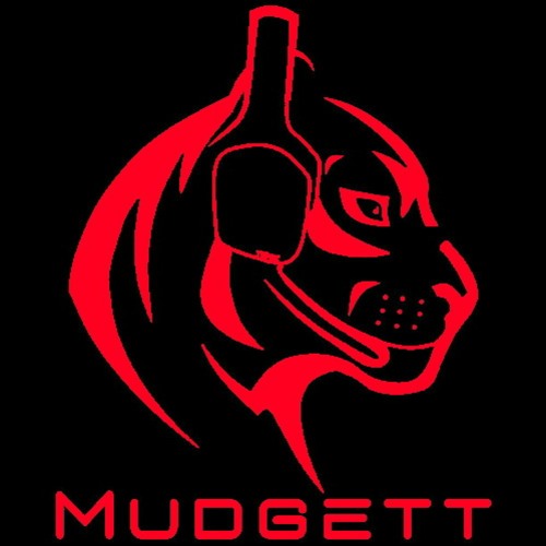 Stream Two Years Gone by MudgettOfficial | Listen online for free on ...