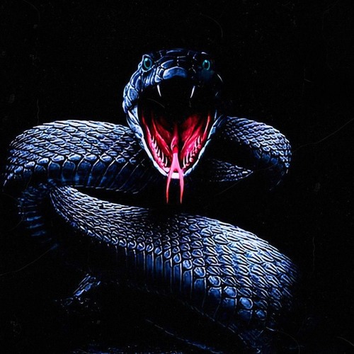 Stream Vipers (Prod. Scufficer X Nofuk X Zemco) by Cory Bandz | Listen ...